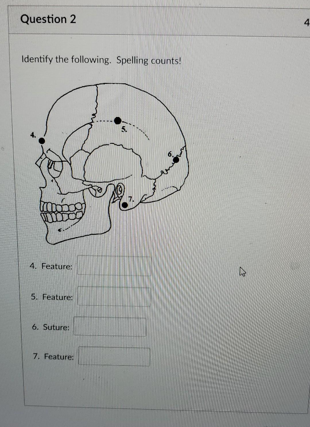 Question 2 4 Identify the following. Spelling counts! | Chegg.com