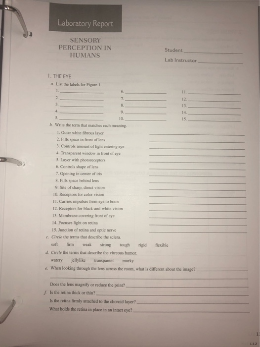 Laboratory Report SENSORY PERCEPTION IN HUMANS | Chegg.com