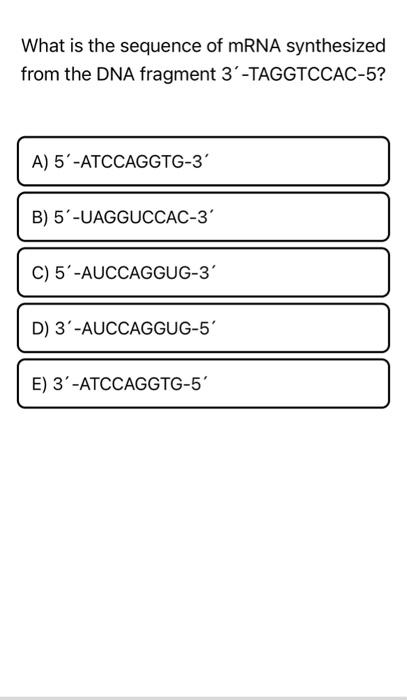 Solved During transcription, what mRNA sequence would be | Chegg.com