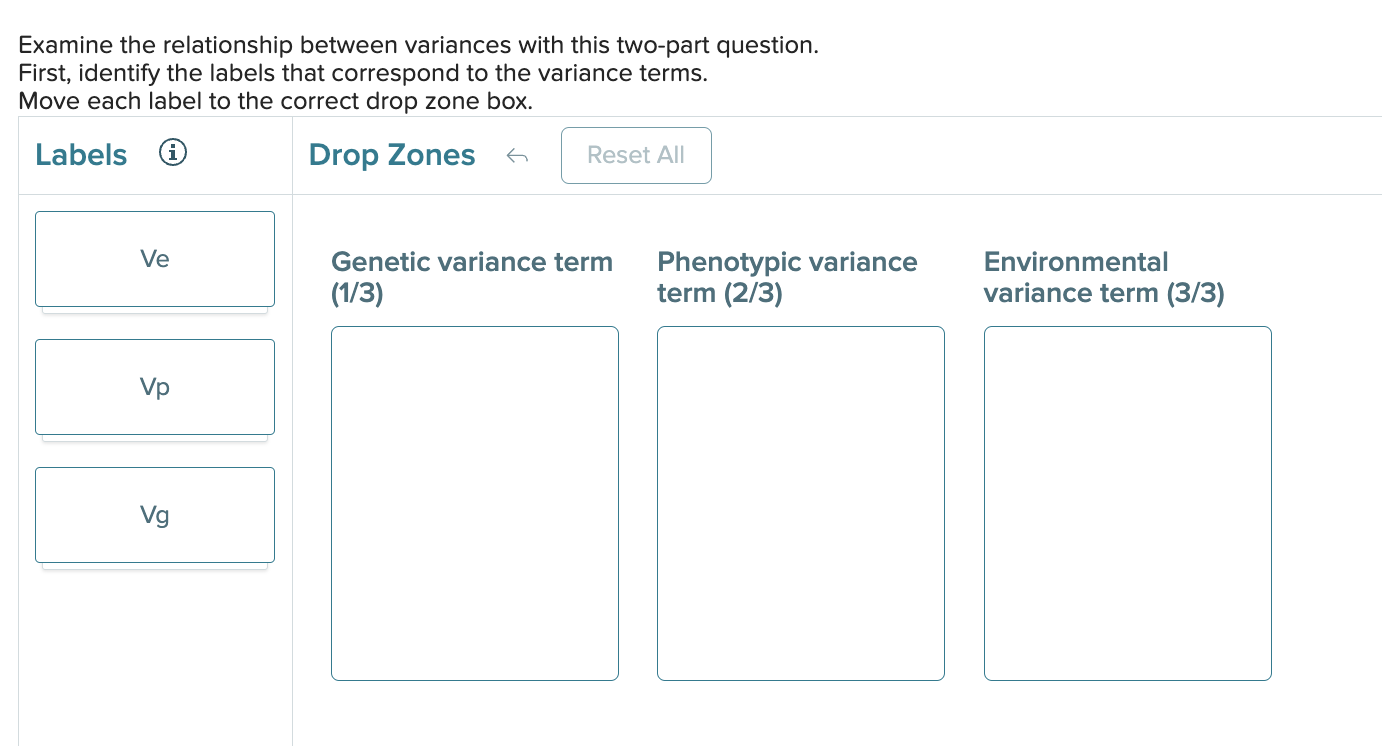 Solved Examine the relationship between variances with this | Chegg.com