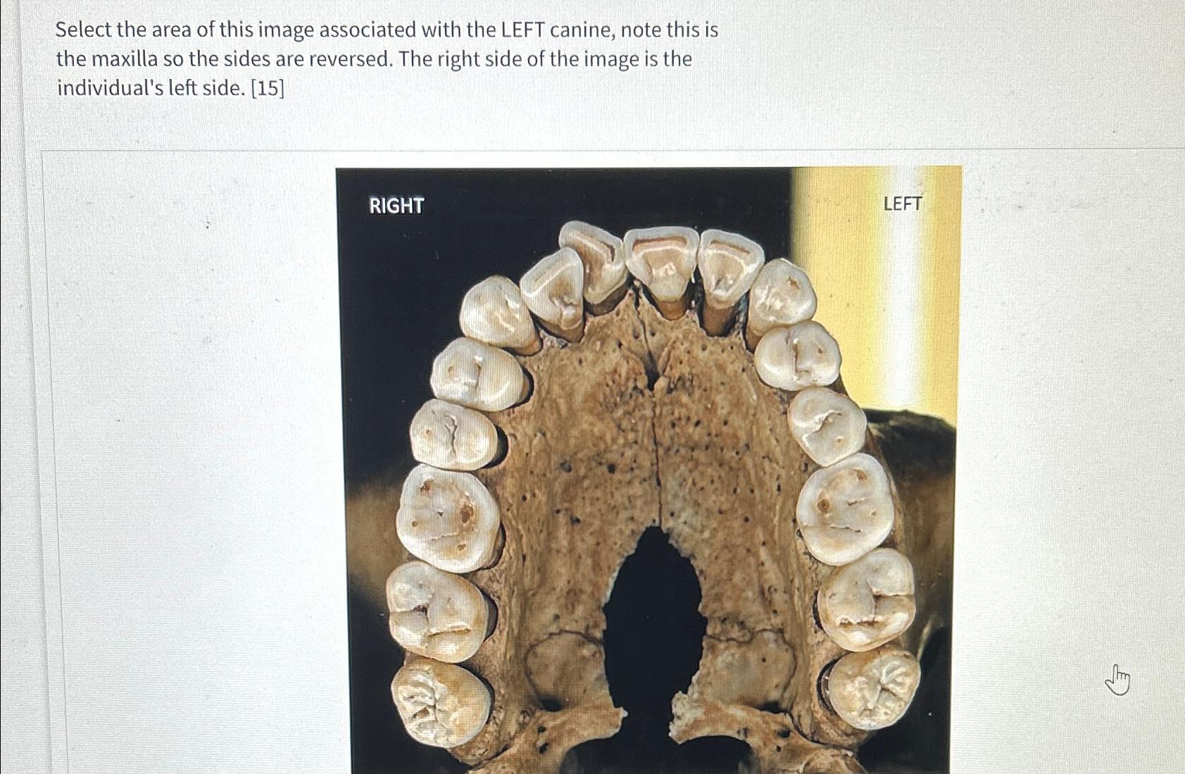 Solved Select the area of this image associated with the | Chegg.com