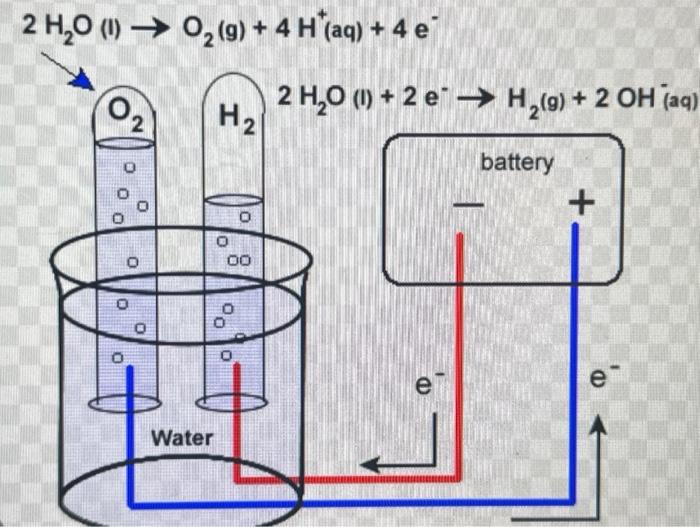 Solved What is the balanced equation of the half reaction at | Chegg.com