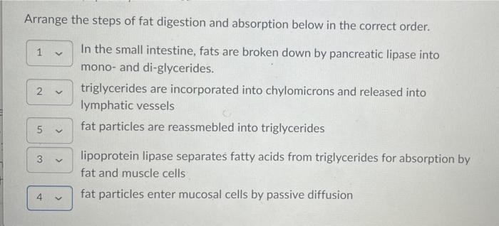 Solved Arrange the steps of fat digestion and absorption | Chegg.com