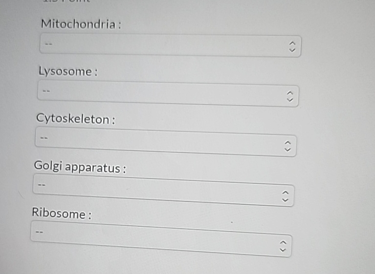 Solved Mitochondria:Cytoskeleton:Golgi apparatus: | Chegg.com
