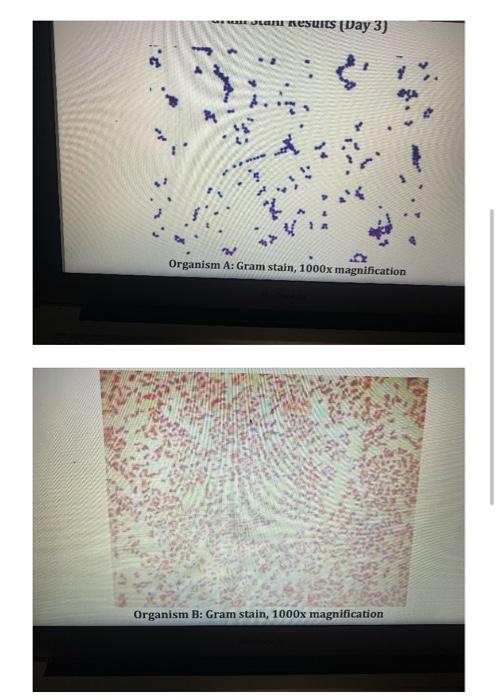 Solved EXERCISE 18 Identification of Unknown Microbial | Chegg.com