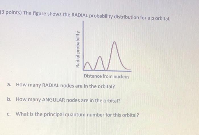 Solved (3 points) The figure shows the RADIAL probability | Chegg.com