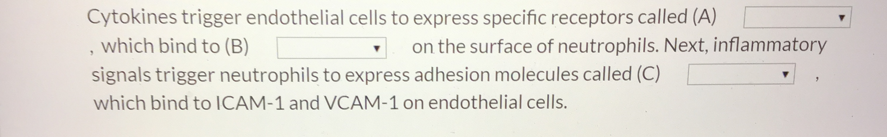 Solved Cytokines trigger endothelial cells to express | Chegg.com