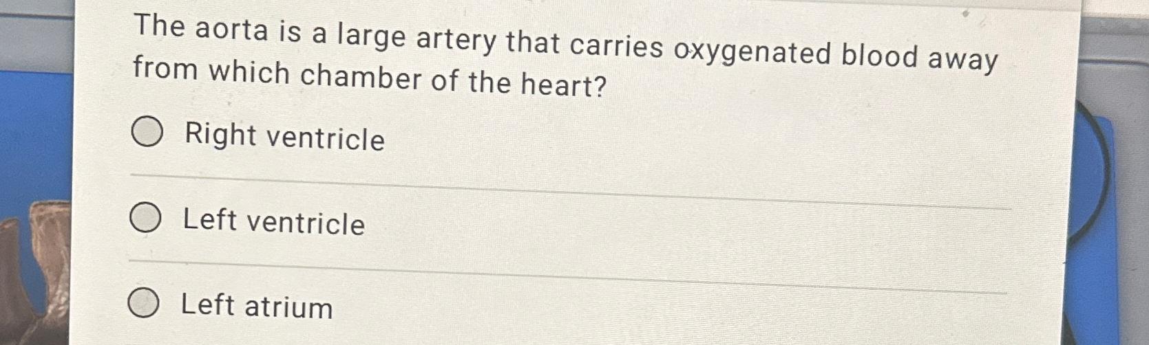 Solved The aorta is a large artery that carries oxygenated | Chegg.com