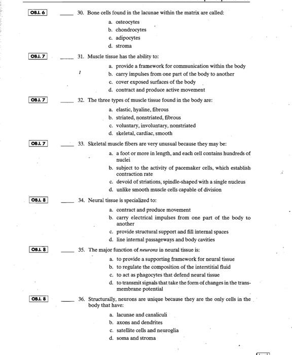 64 Chapter 4 The Tissue Level of Organization OBL.4 | Chegg.com