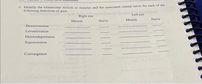 Solved 4. Identify the extraocular muscle or muscles and the | Chegg.com