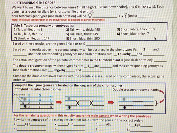 Solved I. DETERMINING GENE ORDER We want to map the distance | Chegg.com