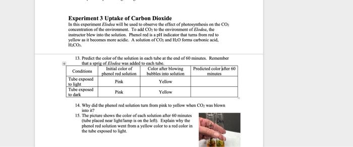 Solved Experiment 3 Uptake of Carbon Dioxide In this | Chegg.com