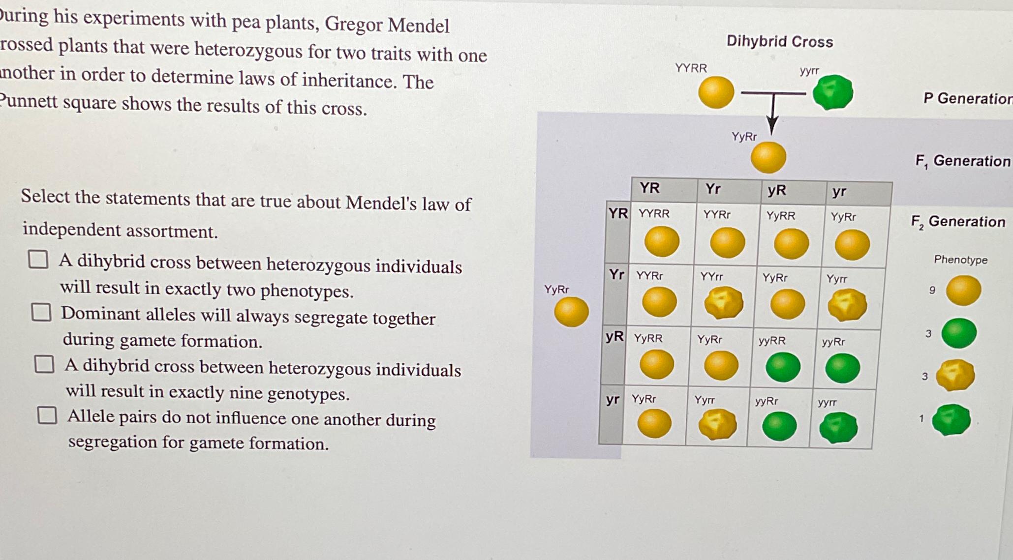Solved During his experiments with pea plants, Gregor Mendel | Chegg.com | Chegg.com