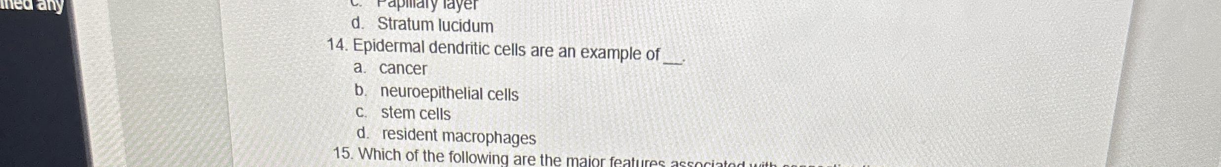 Solved d. ﻿Stratum lucidumEpidermal dendritic cells are an | Chegg.com
