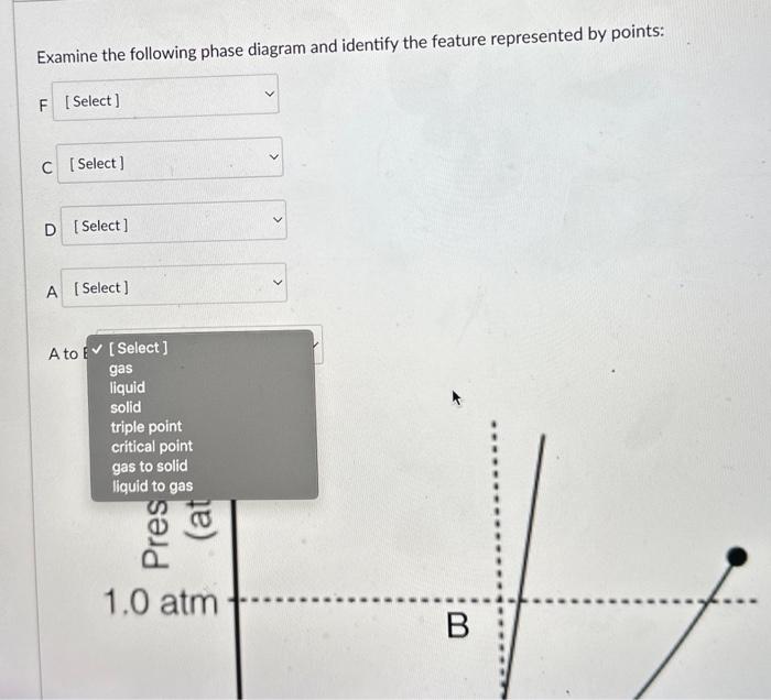 Interpreting Phase Diagrams Problems Chegg Solved The Inform