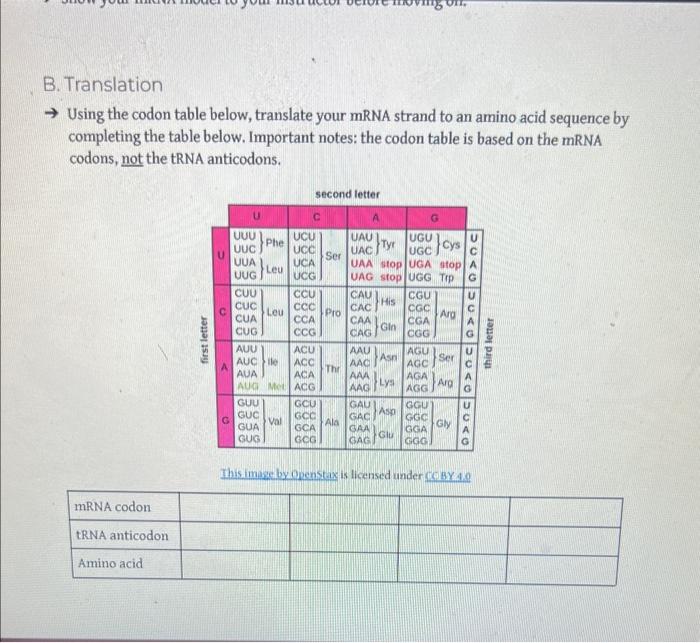 [Solved]: take any B. Translation Using the codon table be