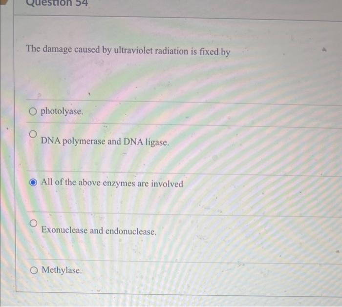 Solved Consider the following codons: | Chegg.com