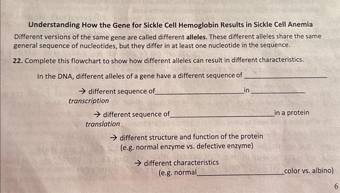 Solved Understanding How the Gene for Sickle Cell Hemoglobin | Chegg.com