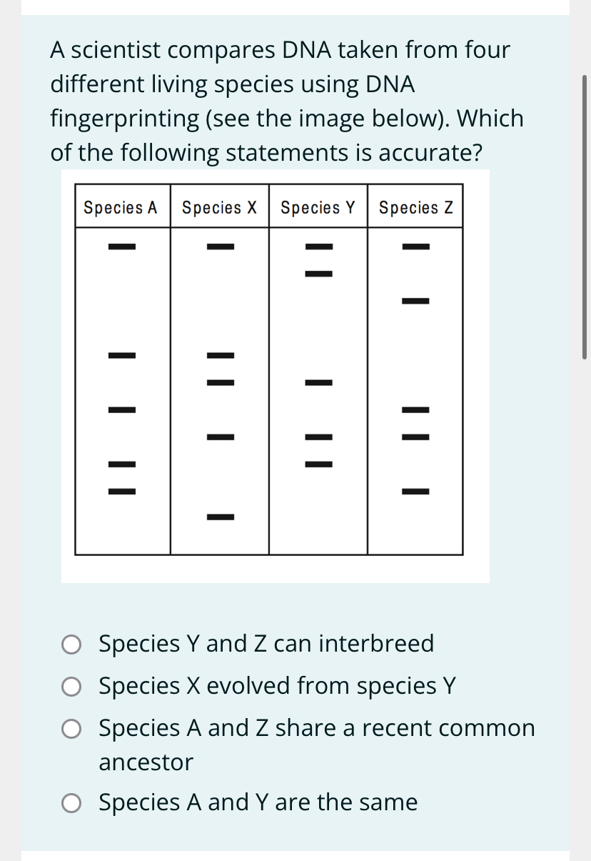 Solved A scientist compares DNA taken from four different | Chegg.com