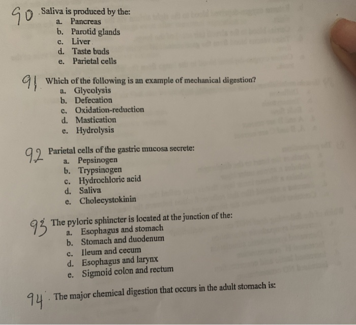 Solved Saliva is produced by the: a Pancreas b. Parotid | Chegg.com