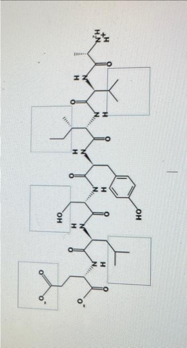 Solved 3. The following figure shows drug molecules (AMT, | Chegg.com