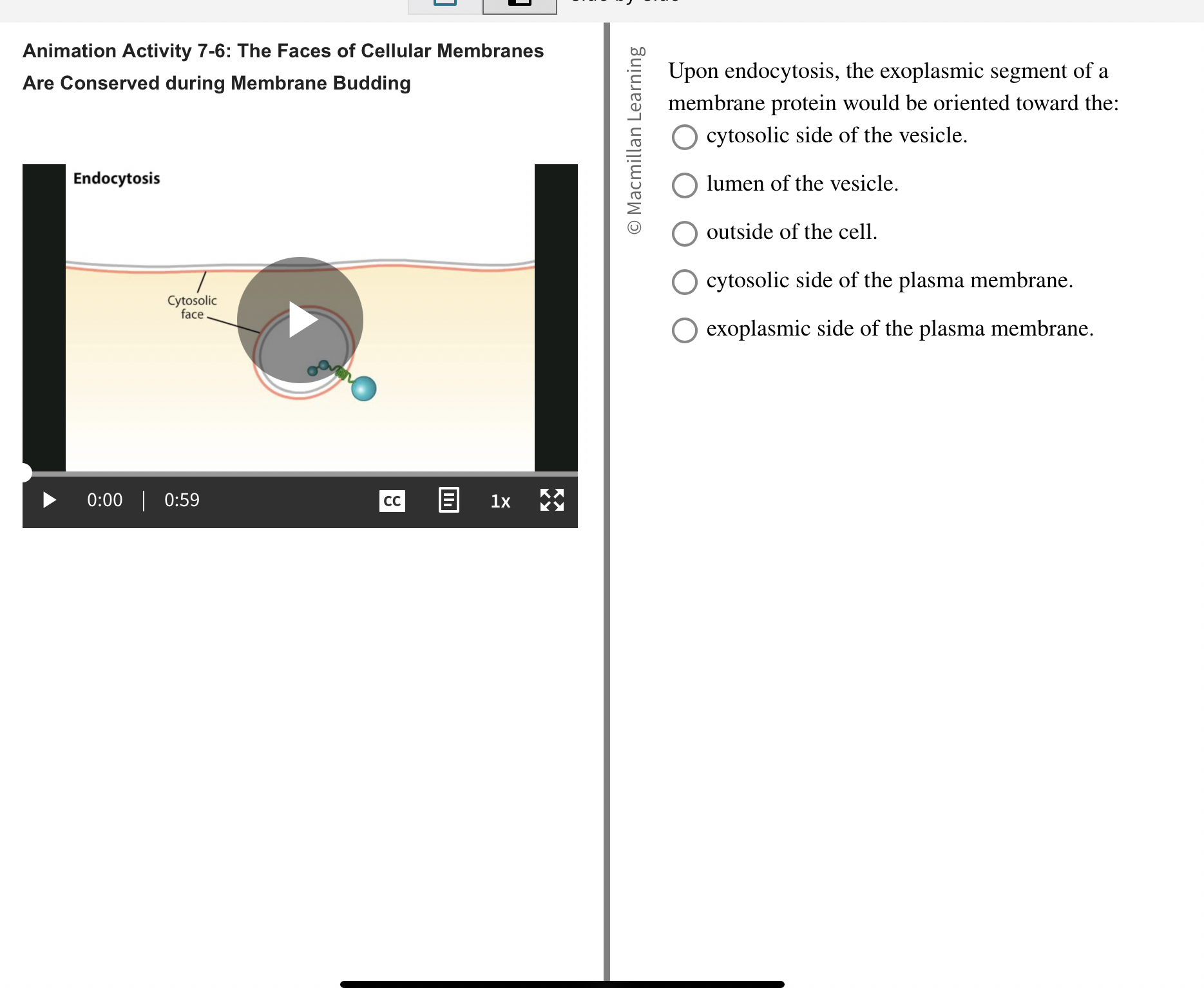 Solved Animation Activity 7-6: The Faces of Cellular | Chegg.com
