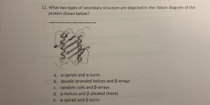 Solved 12. What two types of secondary structure are | Chegg.com