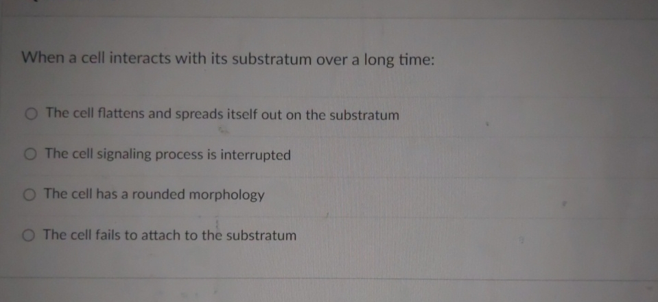 Solved When a cell interacts with its substratum over a long | Chegg.com