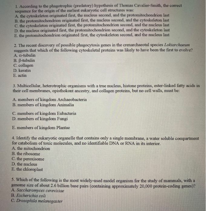 Solved 1. According to the phagotrophic (predatory) | Chegg.com