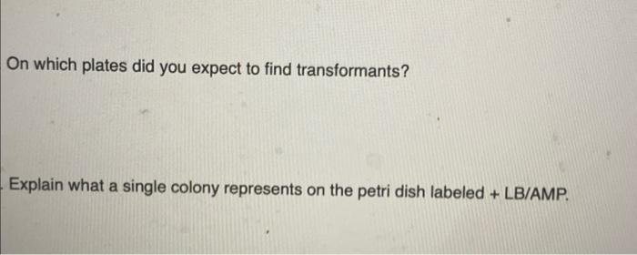 Solved For this week's Lab Ex 10 - Bacterial Transformation | Chegg.com