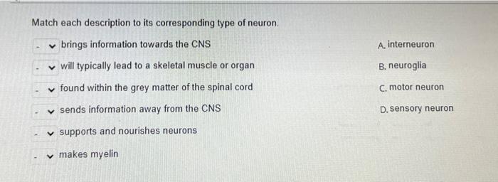 Solved Match each description to its corresponding type of | Chegg.com