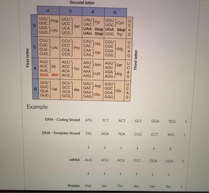 Solved How to answer Questions 1-4 • For questions 1-4, fill | Chegg.com