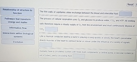 Solved Relationship of structure to functionPathways that | Chegg.com