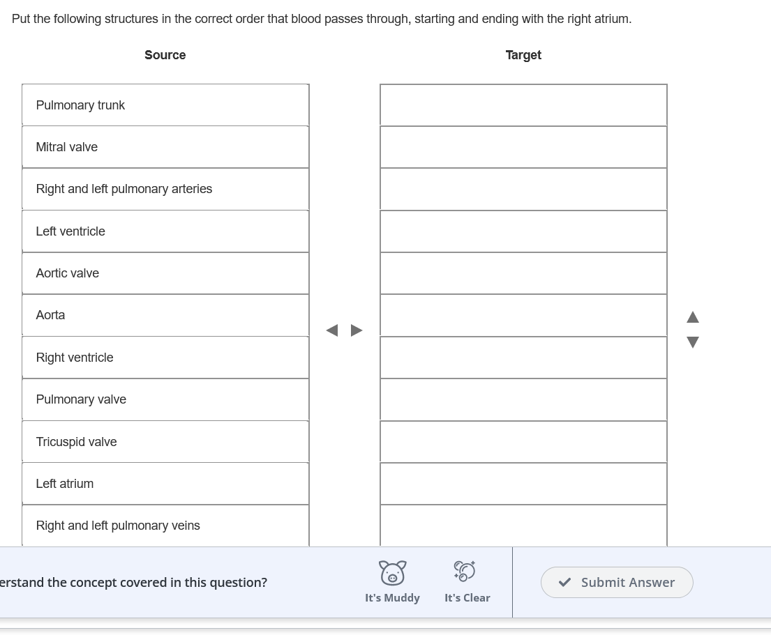 Solved Put the following structures in the correct order | Chegg.com