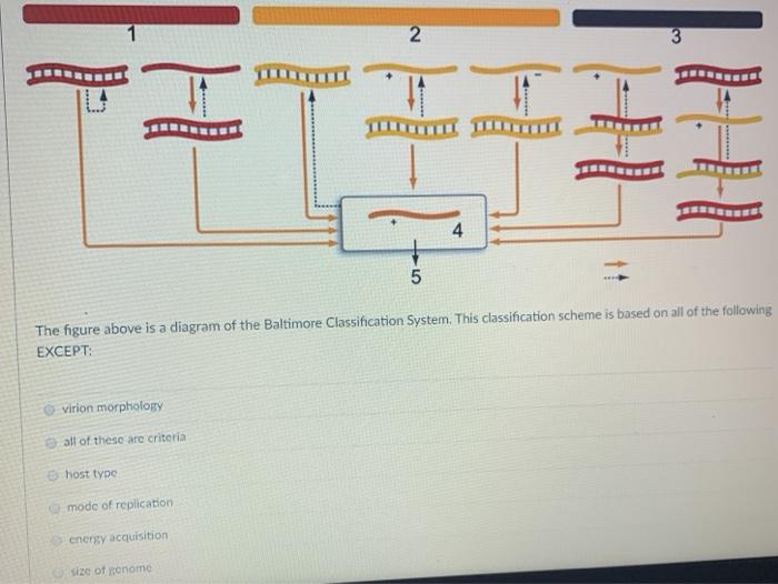 Solved 2 3 4 0 The figure above is a diagram of the | Chegg.com