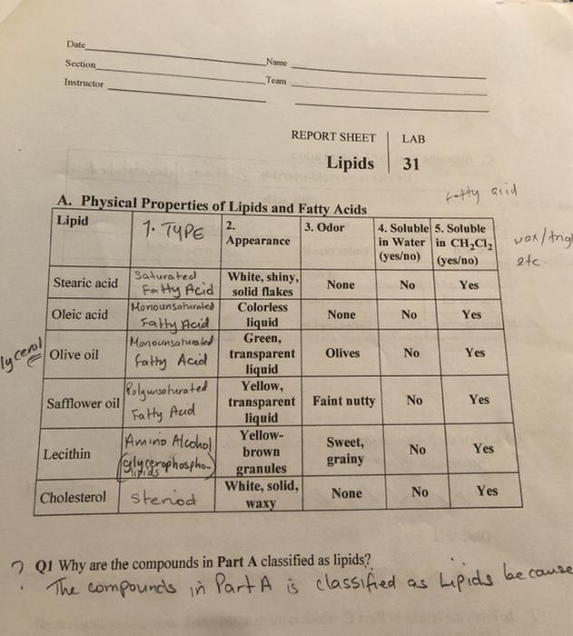 Date Section Name Instructor Team REPORT SHEET LAB | Chegg.com