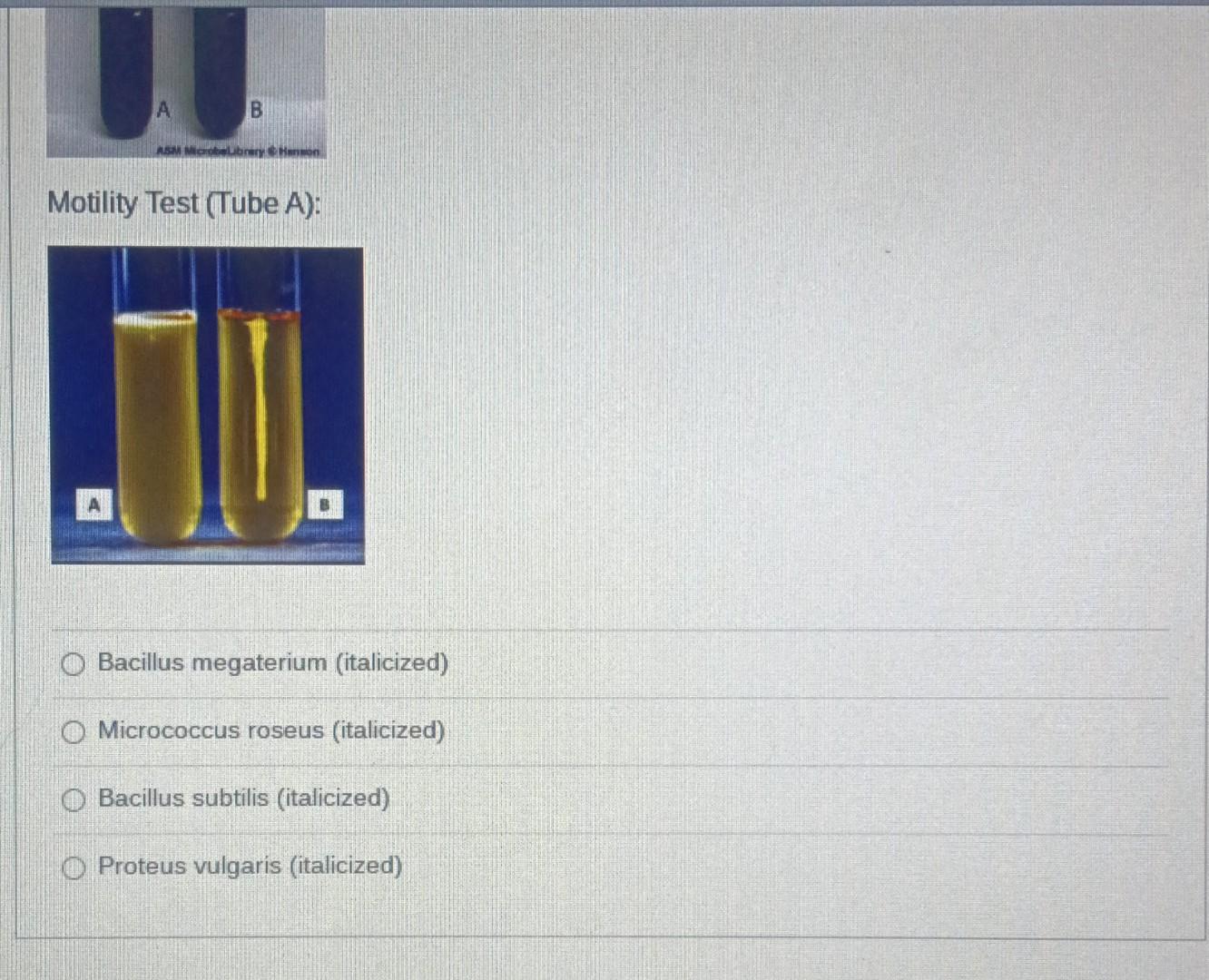 Solved You perform several tests on an unidentified | Chegg.com
