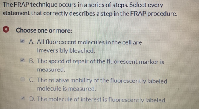 Solved The FRAP technique occurs in a series of steps. | Chegg.com