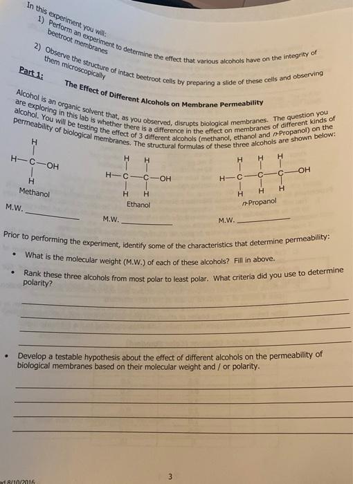 Solved MEMBRANE PERMEABILITY beets releases a great deal of | Chegg.com