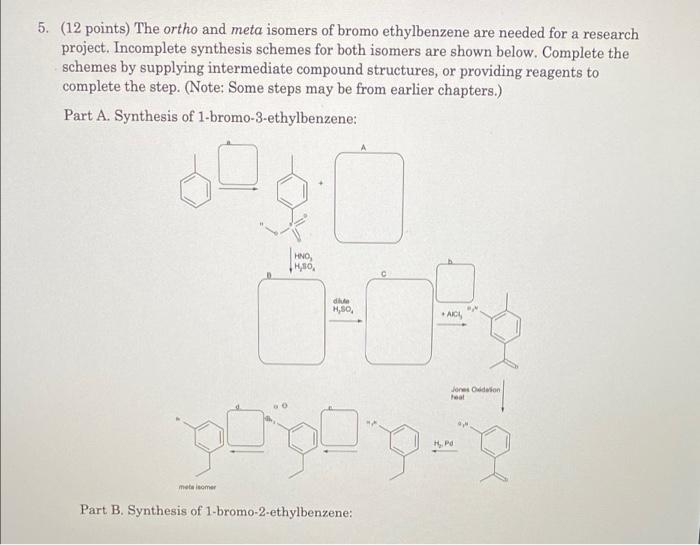 Solved 5. (12 points) The ortho and meta isomers of bromo | Chegg.com
