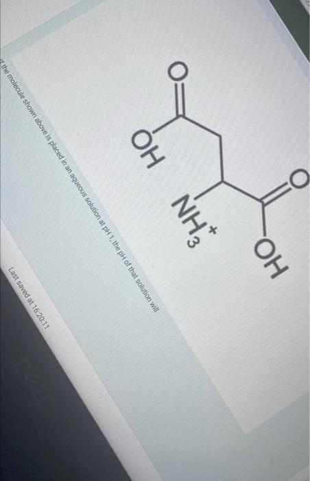 Solved O= OH OH NH the molecule shown above is placed in an | Chegg.com