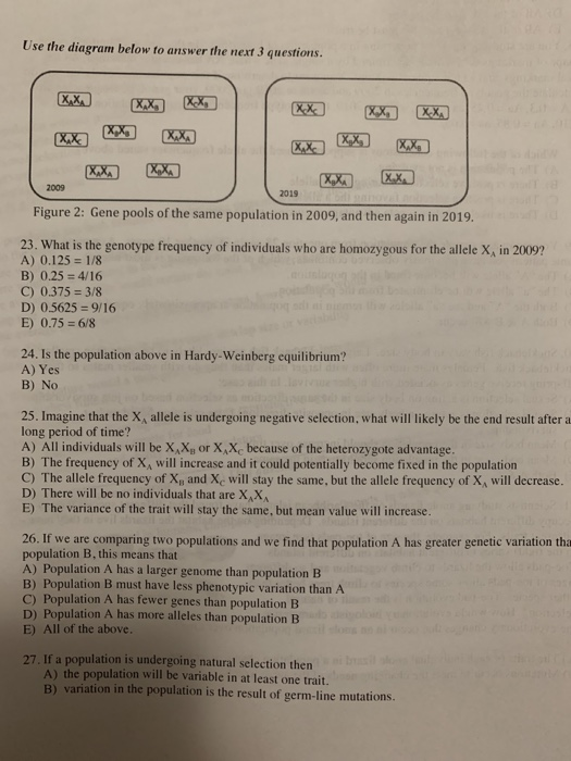 Solved size remains small. E) All of the above are possible | Chegg.com