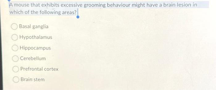 Solved A mouse that exhibits excessive grooming behaviour | Chegg.com