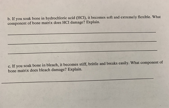 Solved b. If you soak bone in hydrochloric acid (HCI), it | Chegg.com