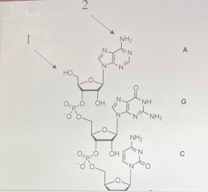 Solved a) b) chose the correct one of the | Chegg.com
