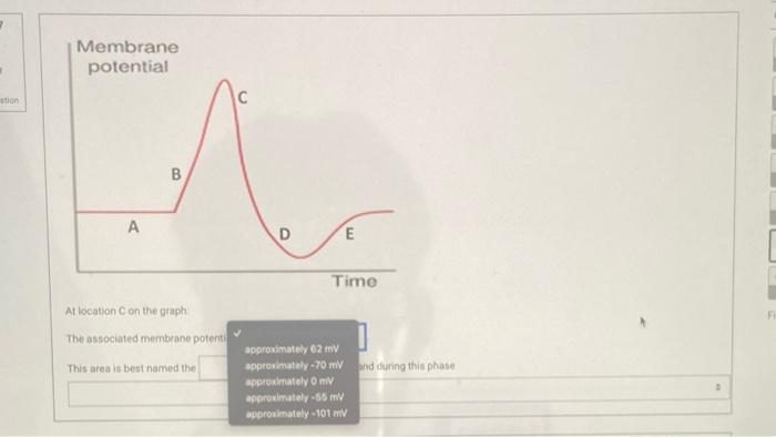 Solved At location C on the graph The as sociated membrane | Chegg.com
