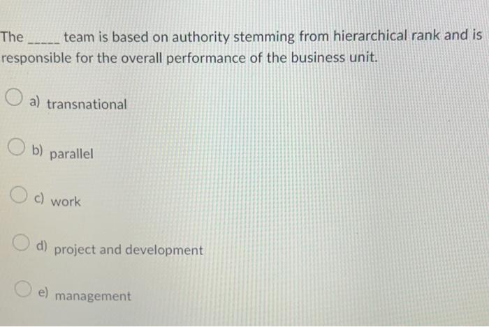 Solved The __________ team is based on authority stemming | Chegg.com