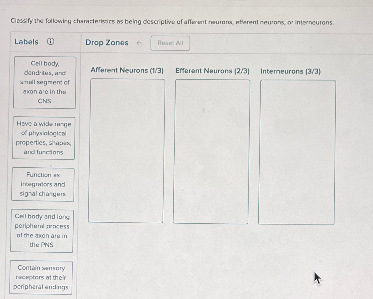 Solved Classify the following characteristics as being | Chegg.com