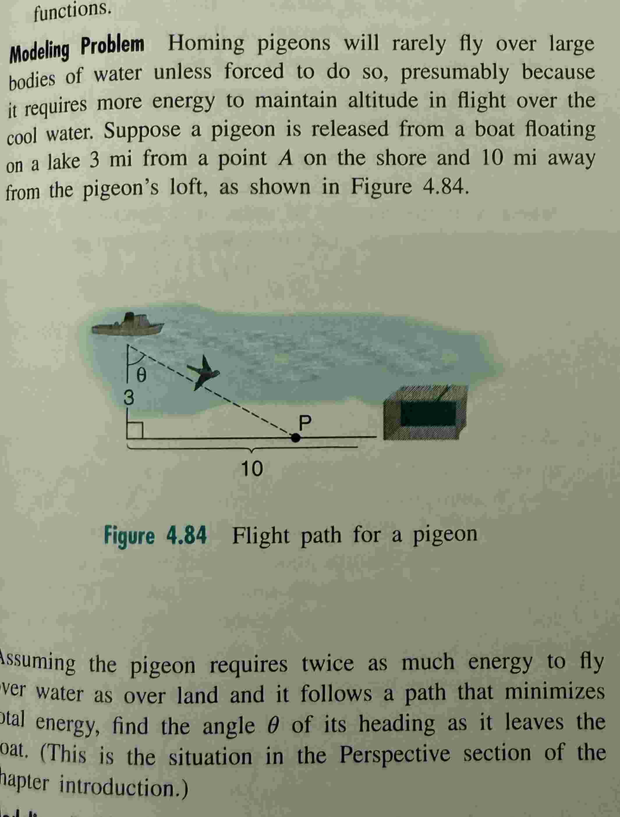 Solved functions. Modeling Problem: Homing pigeons will | Chegg.com