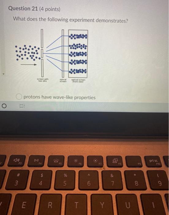 Solved Question 21 (4 points) What does the following | Chegg.com